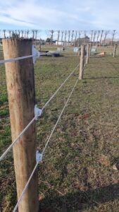 Fencing Contractor | Rural & Farm Fencing | North Canterbury